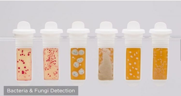 Dip Slides in Dubai UAE | Caresource