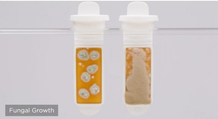 Dip Slides in Dubai UAE | Caresource